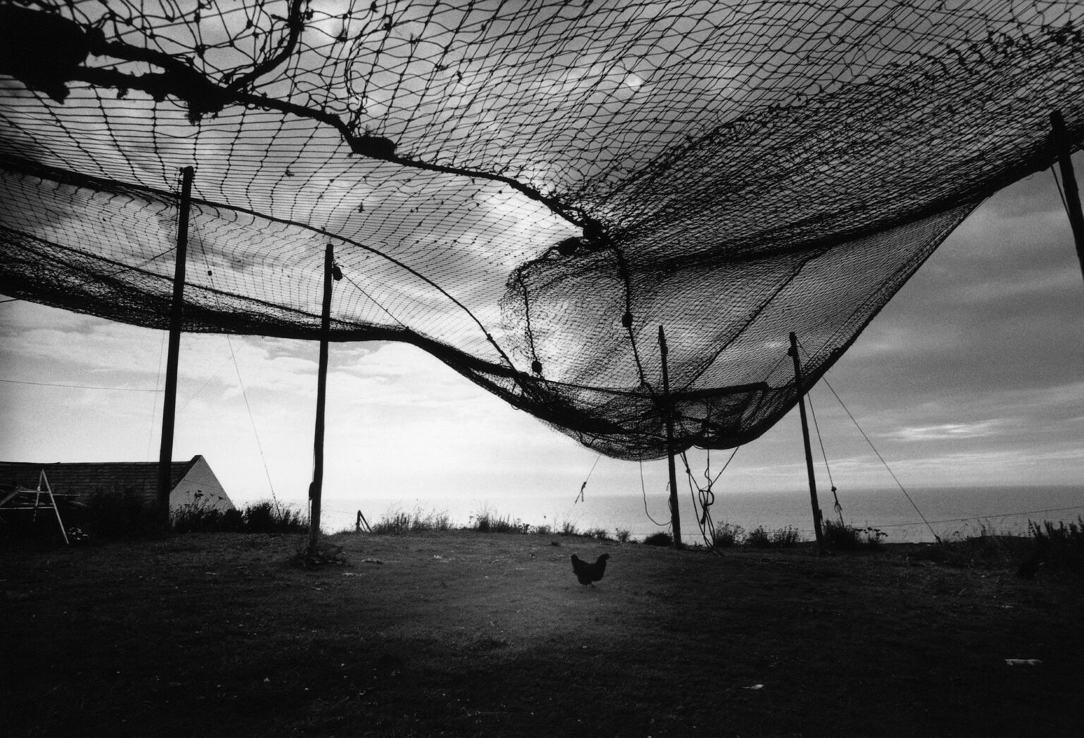 Salmon Netting / Colin McPherson - Document Scotland photography